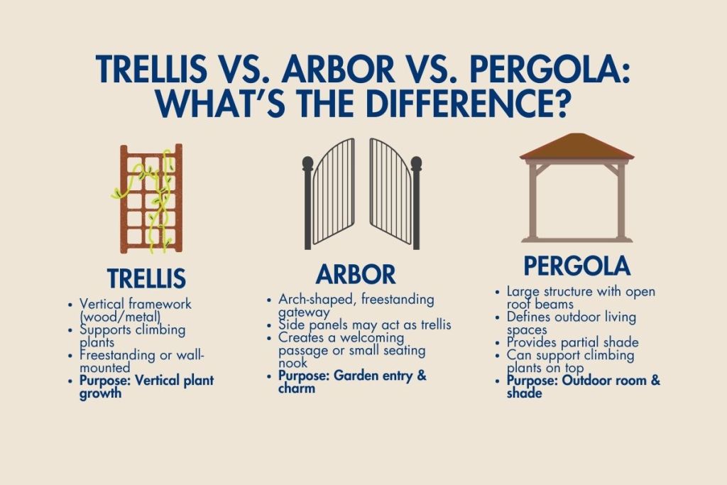Purpose of trellis: 5 Essential Benefits
